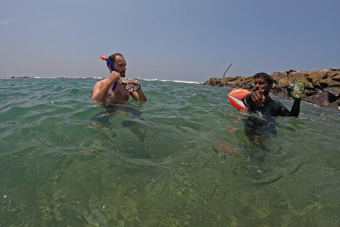 Snorkeling with Turtles in Mirissa - FAQs