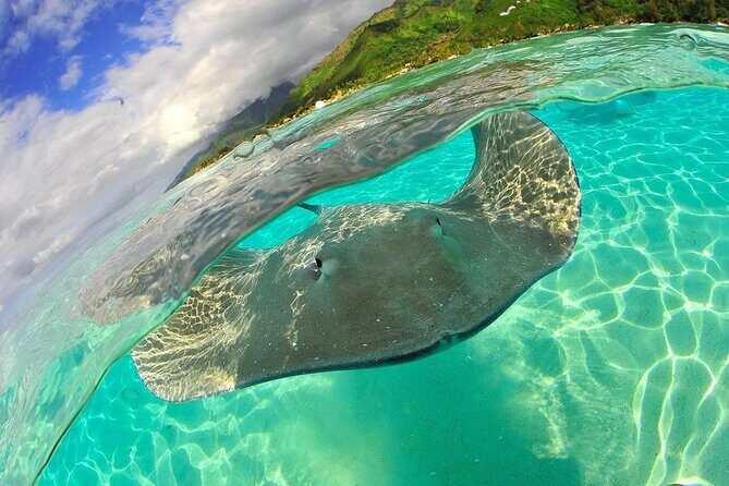 Snorkeling with underwater scooter in Tahaa lagoon from Raiatea - Why This Tour Offers Good Value