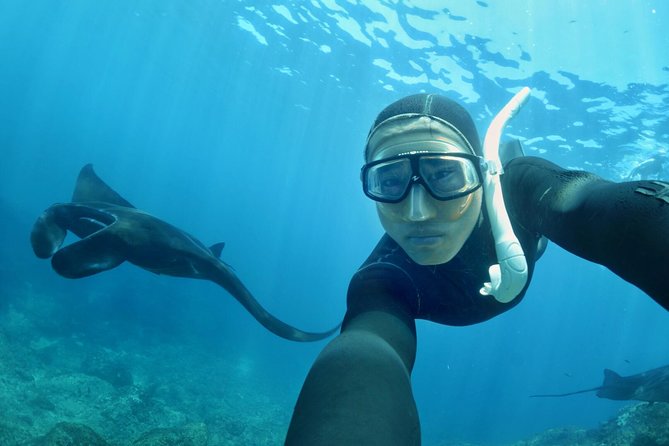Snorkelling in Nusa Penida - Manta Point - Who Should Consider This Tour?