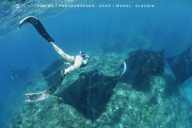 Snorkelling in Nusa Penida - Manta Point - The Sum Up: Is It Worth It?