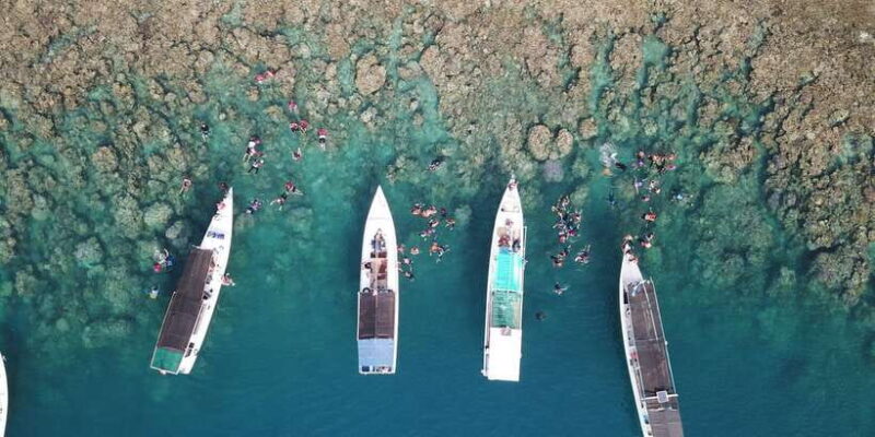 Snorkelling & islandhopping tour Karimunjawa (private tour) - Final Thoughts