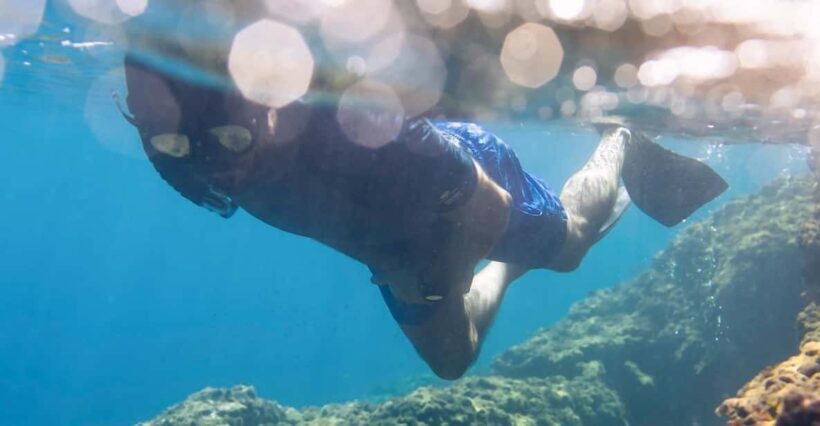Snorkelling & Marine Biology Experience in the Cinque Terre - Key Points