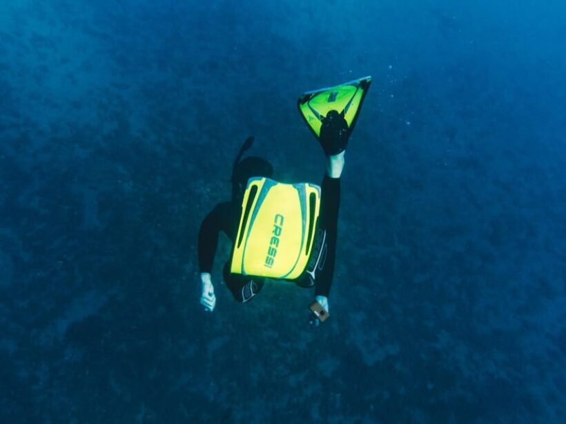 Snorkelling & Marine Biology Experience in the Cinque Terre - An In-Depth Look at the Snorkelling & Marine Biology Tour