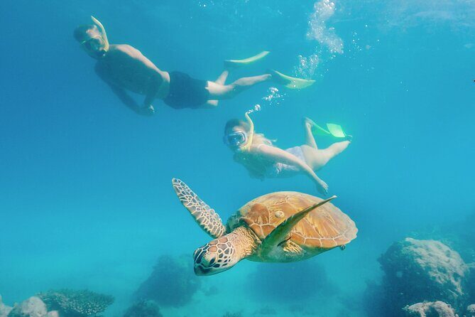 Snorkelling or Glass Bottom Boat at Green Island from Cairns - Key Points