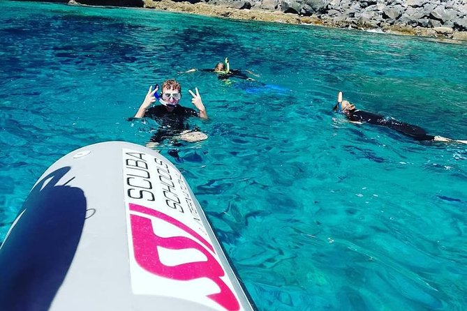 Snorkelling Trip at Ponta De São Lourenço Protected Area - Snorkeling Equipment and Wetsuits