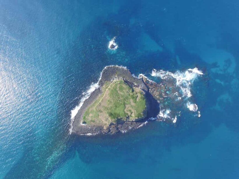 Snorkelling with Turtles at Cook Island Marine Rserve - Snorkelling with Turtles at Cook Island Marine Reserve