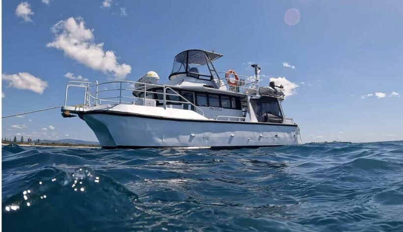 Snorkelling with Turtles at Cook Island Marine Rserve - Authentic Experiences from Travelers