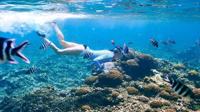 snorkling explore - A Closer Look at the Snorkeling Adventure