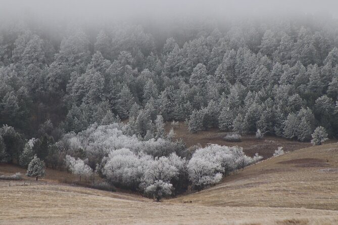 Snow-Capped Escapes: Black Hills in Winter - Final Thoughts