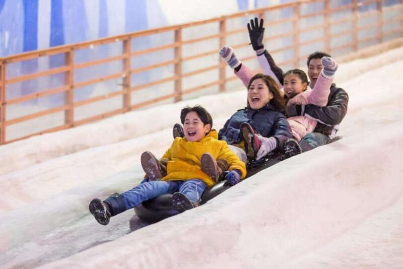 Snow City Singapore 1-Hour Play Ticket - Inside the Snow Zone: What Can You Expect?