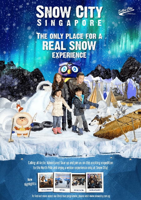 Snow City Singapore 1-Hour Play Ticket - Who Should Consider Snow City?