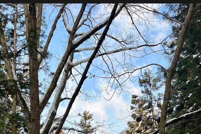 Snow Monkey Nagano or Mt Tsukuba Day Tour by Car English Driver - Mt Tsukuba Tour Itinerary