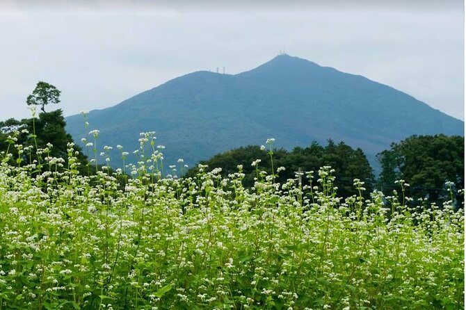 Snow Monkey Nagano or Mt Tsukuba Day Tour by Car English Driver - Pricing and Reservation Flexibility