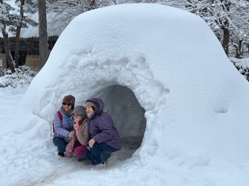 Snow Monkey Park Private Tour To-and-From Tokyo up to 12 - Key Points