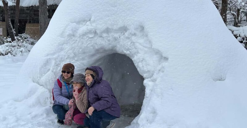 Snow Monkey Park Private Tour To-and-From Tokyo up to 12 - Itinerary and Experience