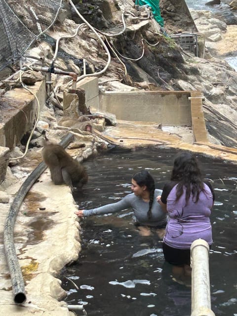 Snow Monkey Park Private Tour To-and-From Tokyo up to 12 - Highlights and Activities