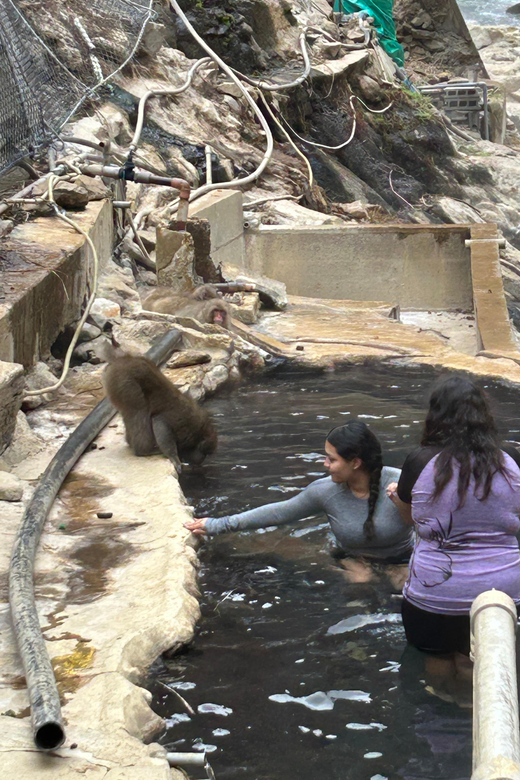 Snow Monkey Park Private Tour To-and-From Tokyo up to 12 - Important Information and Recommendations