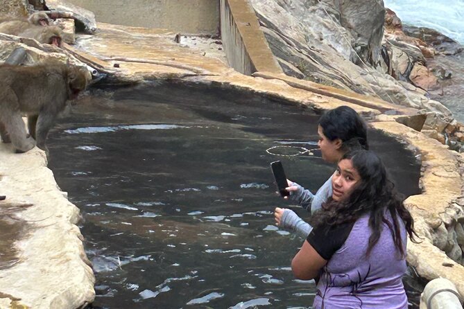 Snow Monkey Park Tour, From/To Tokyo, 2-12 Guests - Booking and Cancellation Policy