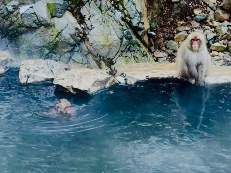 Snow Monkey Park & Zenko-ji Temple Nagano One Day Tour - Cultural Significance