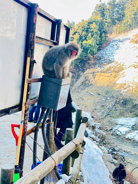 Snow Monkey Park & Zenko-ji Temple Nagano One Day Tour - Booking Flexibility