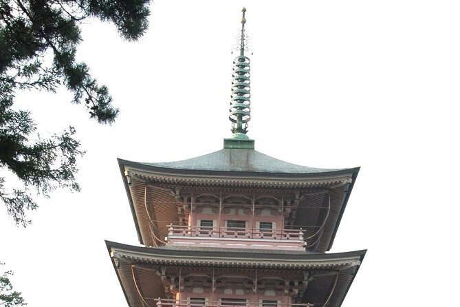 Snow Monkey Park & Zenkoji Temple Nagano Pvt. Full Day Tour. - Exploring the Snow Monkey Park