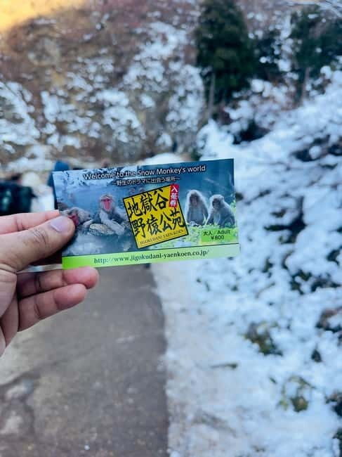 Snow Monkey Park & Zenkoji Temple One Day Private Tour - Key Points