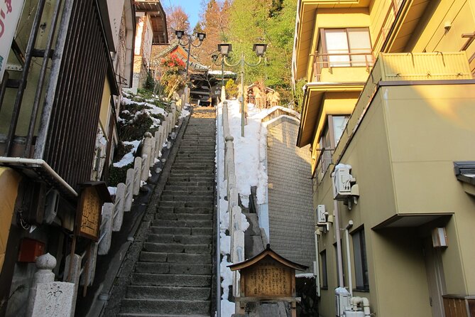 Snow Monkey & Shibu Onsen Afternoon Group Tour (Iiyama & Nozawa) - Tour Overview