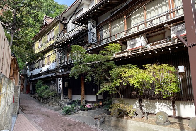 Snow Monkey & Shibu Onsen Private Tour (Nagano, Nozawa, Myoko) - Additional Information