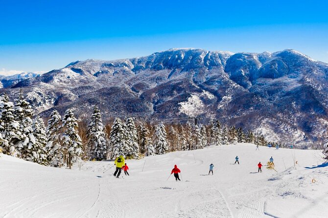 Snow Monkey, Zenko Ji Temple, Sake in Nagano Tour - Visiting the Zenko-ji Temple