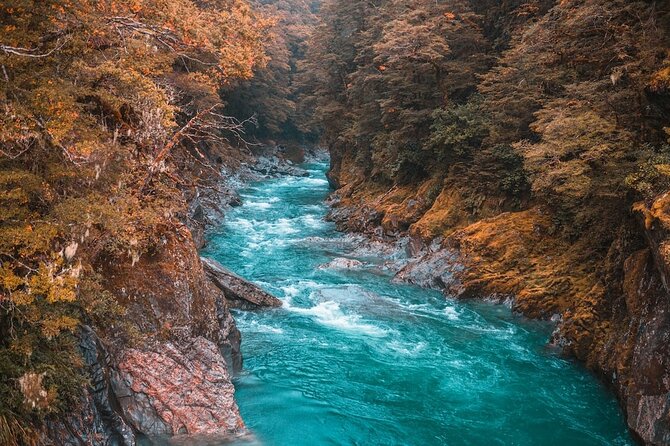 Snow Monkey, Zenko Ji Temple, Sake in Nagano Tour - Discovering Naganos Sake Culture