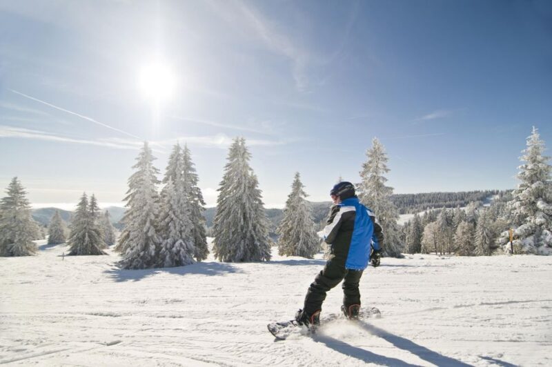 Snowboard Lessons for First Timers at Feldberg - Certification and Expertise of the Instructors