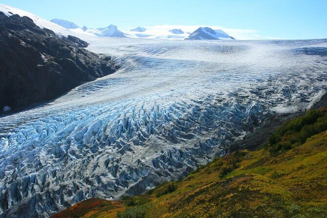 Snowmobile and Snowshoe Dual Adventure in Kenai Fjords NP - Snowmobile and Snowshoe Dual Adventure in Kenai Fjords NP — An Authentic Alaskan Winter Experience