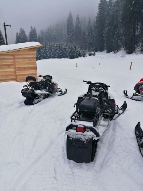 Snowmobile, ATV or Buggy Tour from Bucharest - Key Points