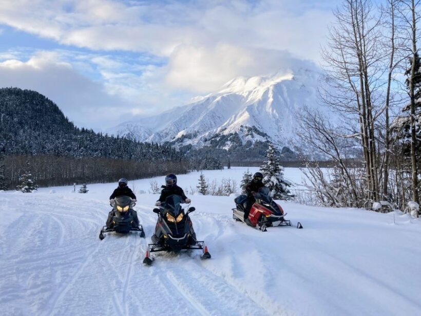 Snowmobile Classic Tour in Kenai Fjords National Park - What the Tour Involves