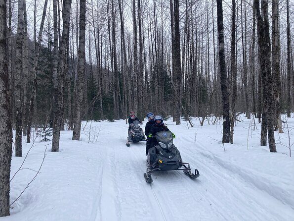 Snowmobile Classic Tour in Kenai Fjords National Park - The Itinerary Breakdown