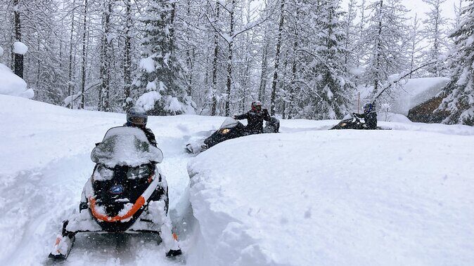 Snowmobile Classic Tour in Kenai Fjords National Park - Practical Considerations