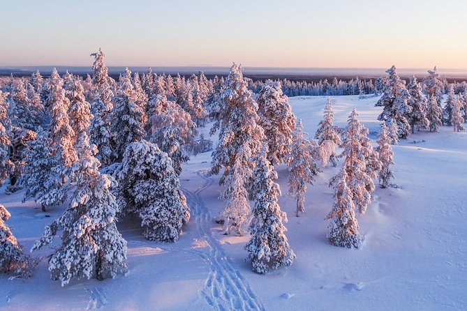 Snowmobile Driving - Morning start - Who Will Love This Tour?