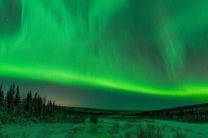 Snowmobile Guided Tour within The Date with Aurora in Alaska - Practical Tips for Travelers