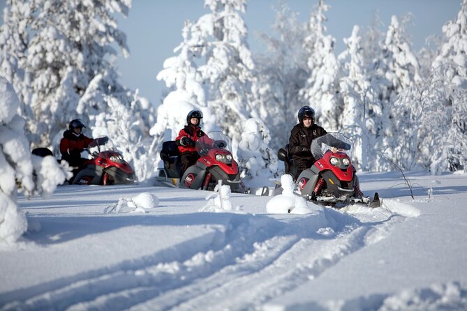 Snowmobile Safari 2h - Experience Overview: What to Expect From the Snowmobile Safari