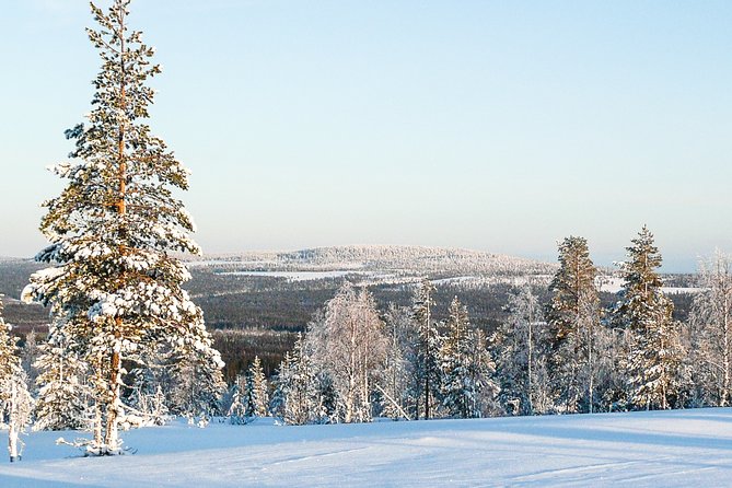 Snowmobile Safari in the Forest - Analyzing the Value