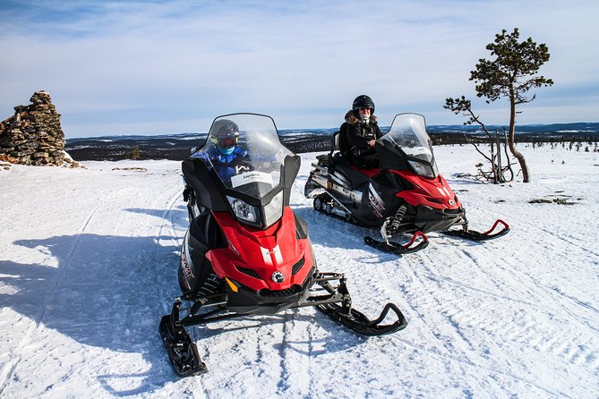 Snowmobile Safari in the Forest - Should You Book This Tour?