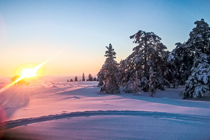 Snowmobile Safari in the Nature - Who Will Love This Tour?