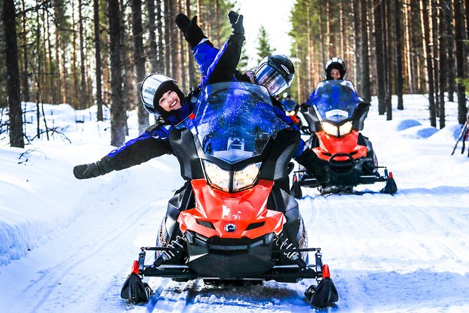Snowmobile Safari in the Nature - The Sum Up: Is It Worth It?