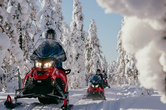 Snowmobile Safari Into the Arctic Circle Forest - Key Points