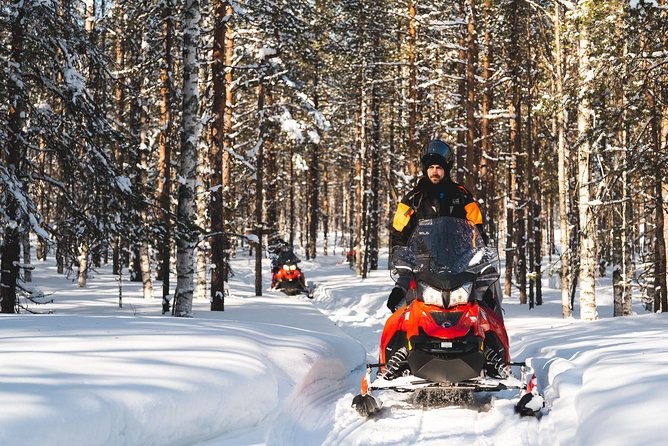 Snowmobile Safari Into the Arctic Circle Forest - Tour Details