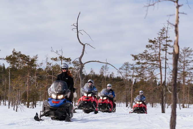 Snowmobile Safari into the Wilderness, Apukka Resort Rovaniemi - The Experience from the Reviews