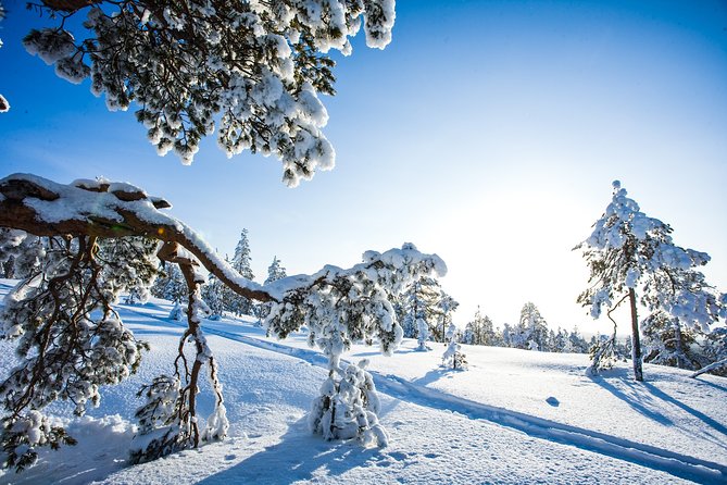 Snowmobile Safari on the Tundra - Group Size and Accessibility