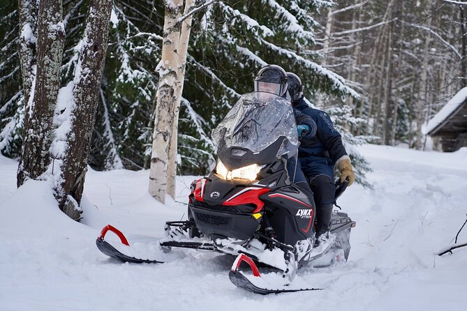 Snowmobile Safari to Arctic Nature - An Overview of the Snowmobile Safari Experience