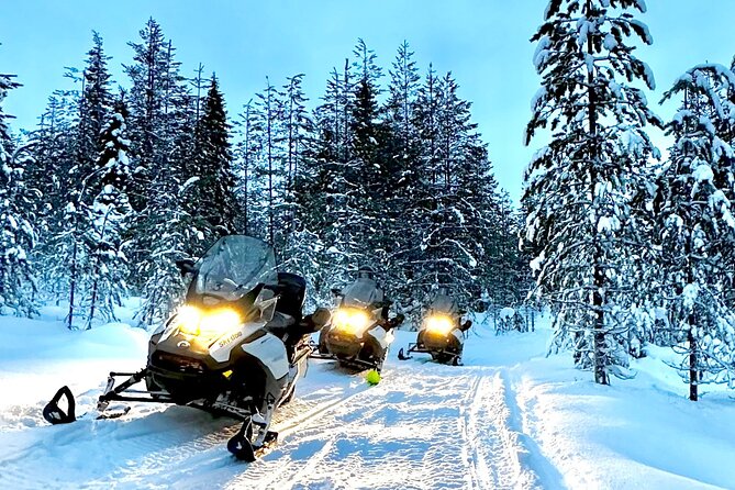 Snowmobile Safari to the Wilderness - Detailed Breakdown of the Experience