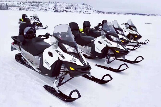 Snowmobile Tour - An In-Depth Look at the Snowmobile Tour Experience